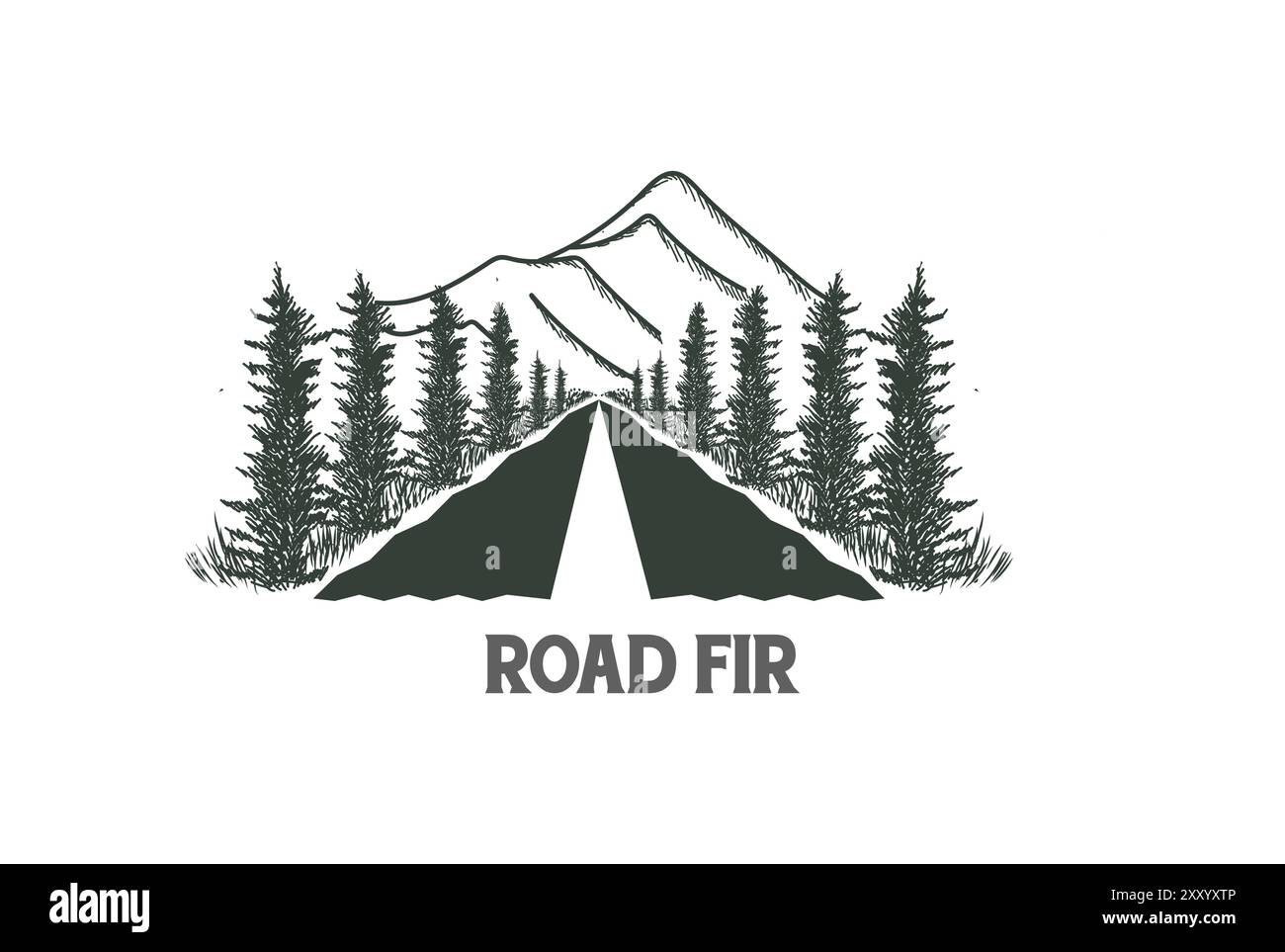 Road Street Way with Mountain Pine Evergreen Fir Conifer Cypress Larch ...