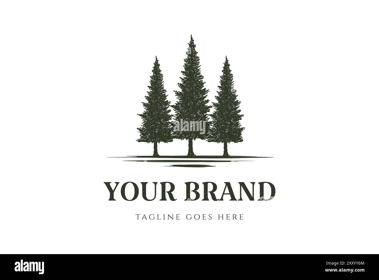 Rustic Pine Evergreen Cedar Cypress Larch Conifer Coniferous Fir Trees ...