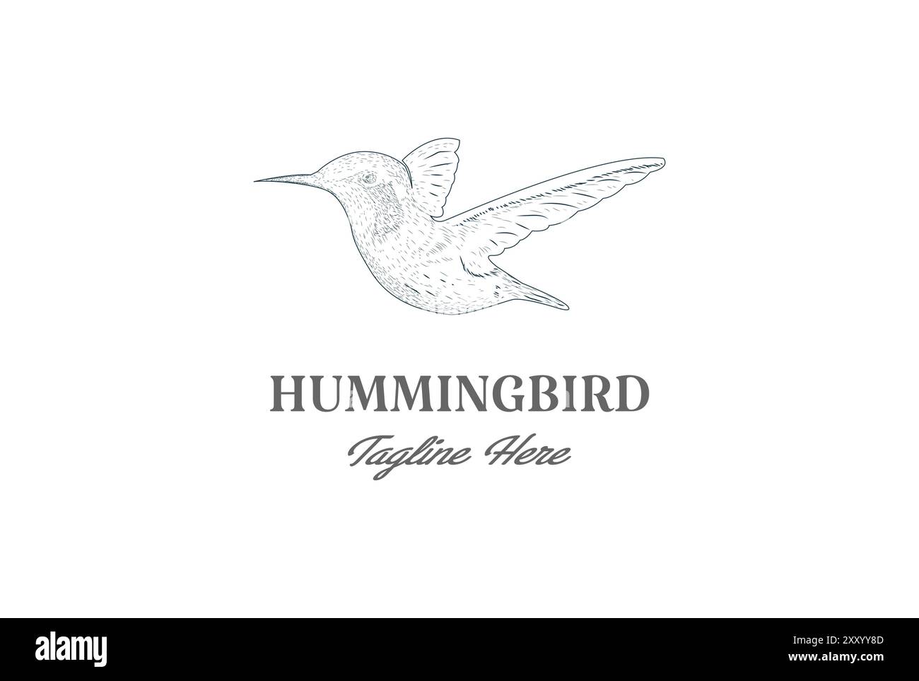 Vintage Retro Hand Drawn Hummingbird or Colibri Bird Logo Design Vector ...