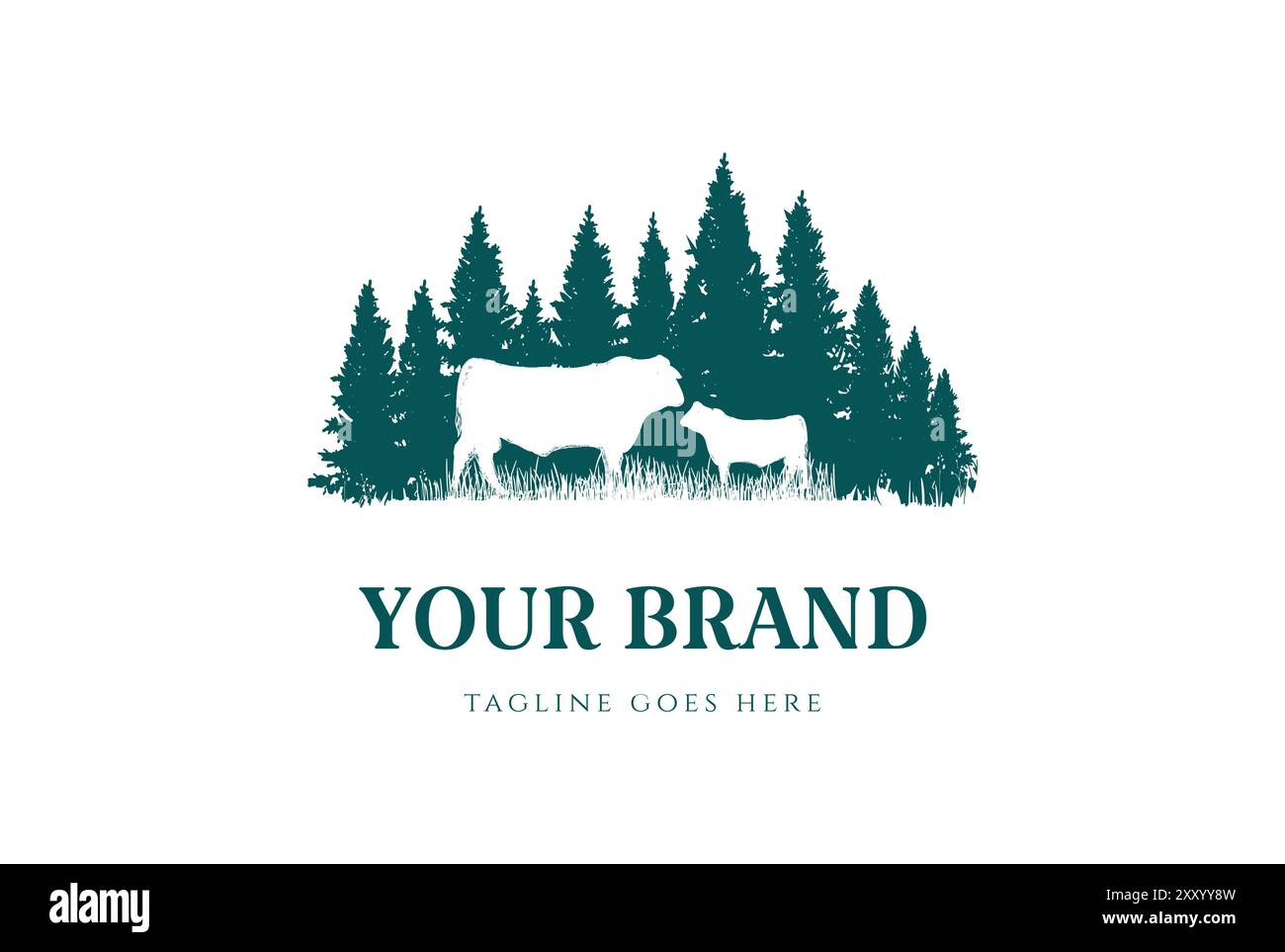 Pine Cedar Spruce Evergreen Cypress Larch Hemlock Fir Trees Forest with ...