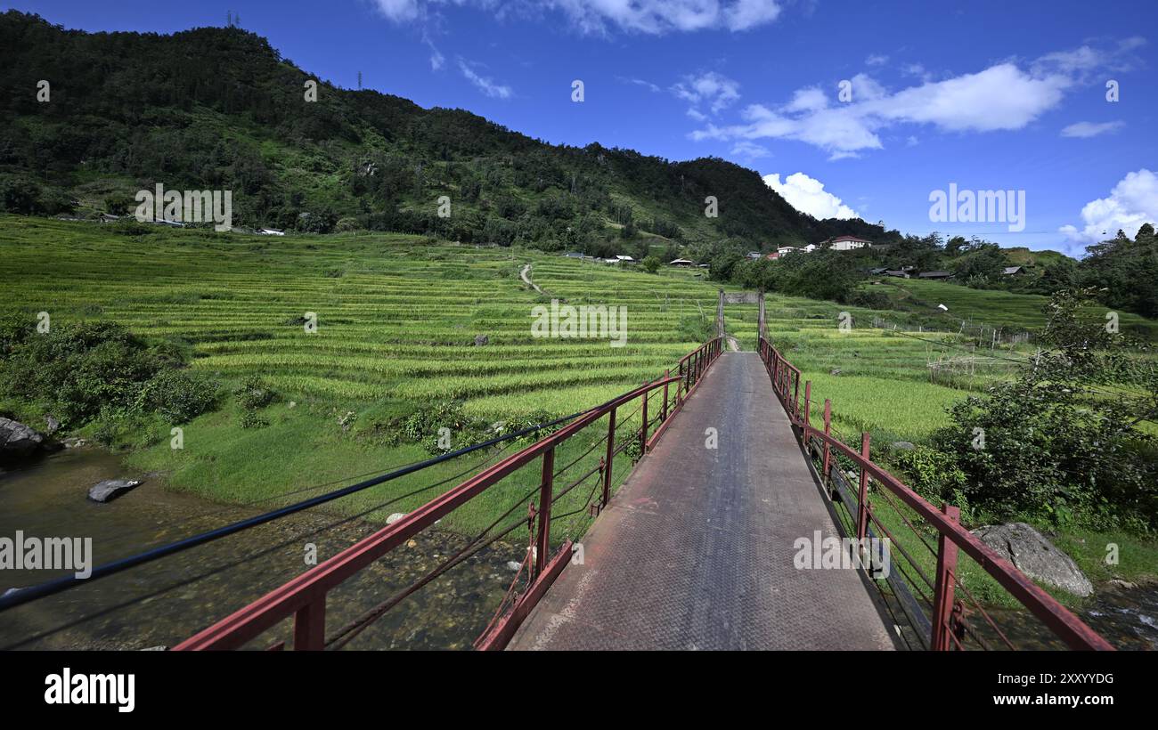 Landscape with green and yellow rice terraced fields and a bridge near ...
