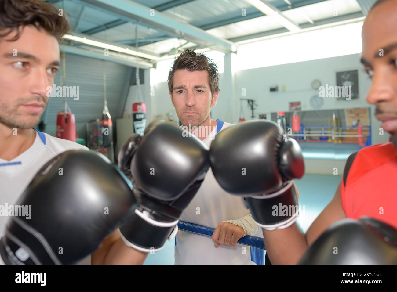 portrait of boxer sparring with a friend Stock Photo - Alamy