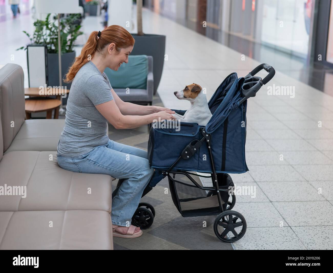 Caucasian woman petting her Jack Russell terrier dog. Shopping with a ...