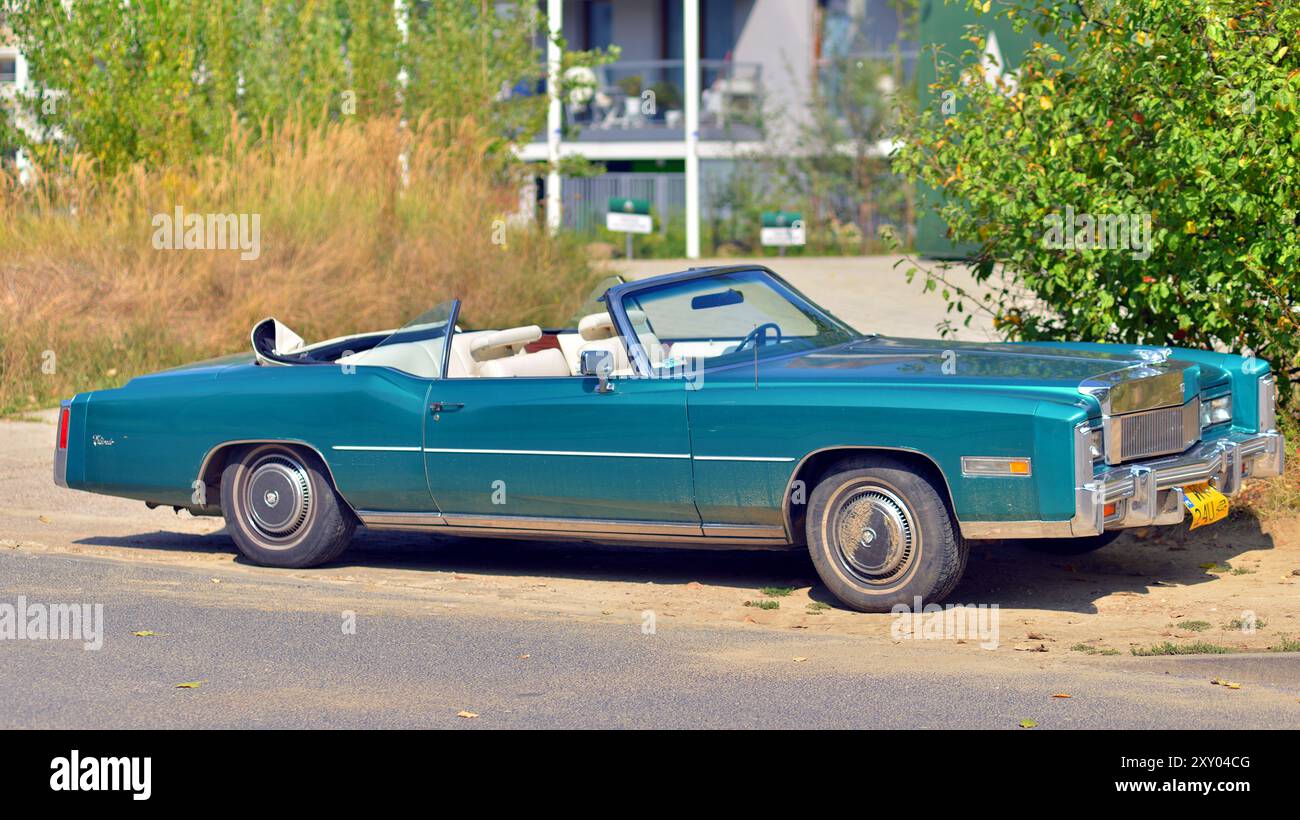 Old car lovers hi-res stock photography and images - Alamy