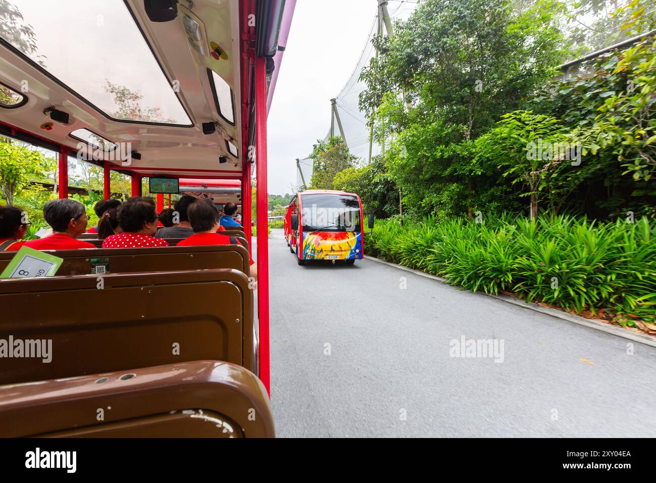 Two in-park shuttle transportation services at Bird Paradise for ...