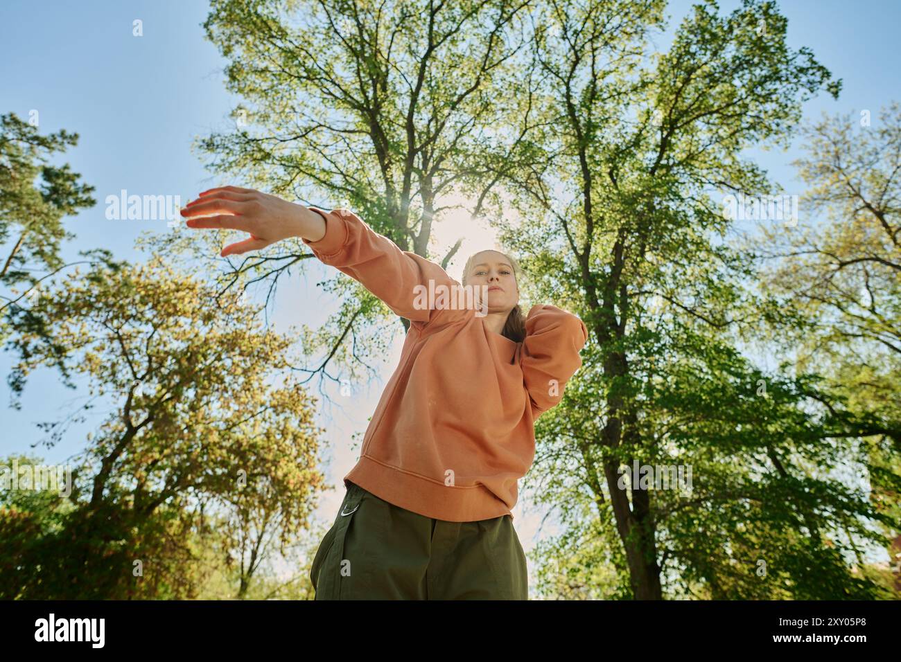 Green forest trees sun hi-res stock photography and images - Alamy