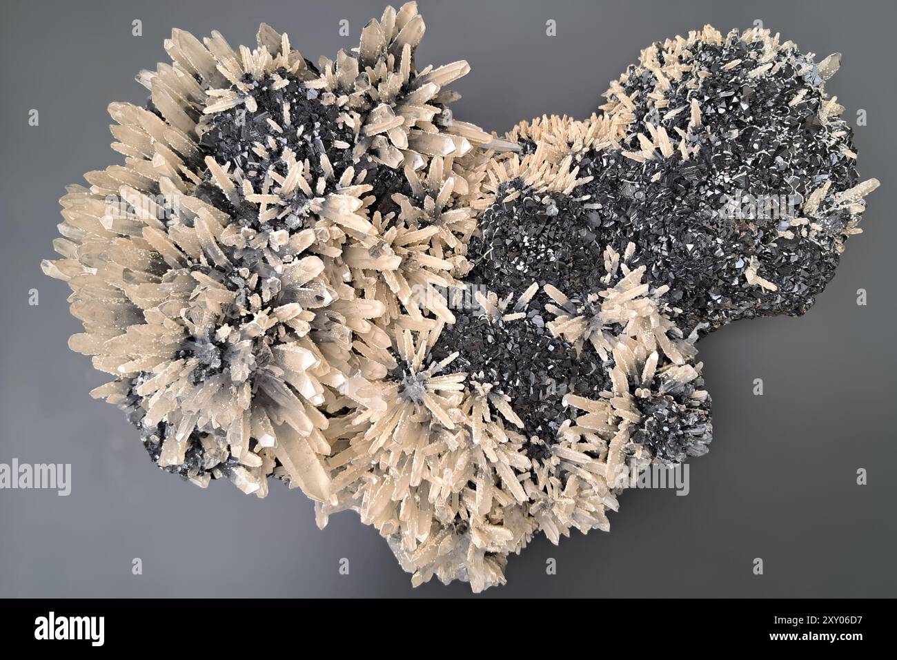 A dense cluster of elongated white crystals intertwined with dark ...