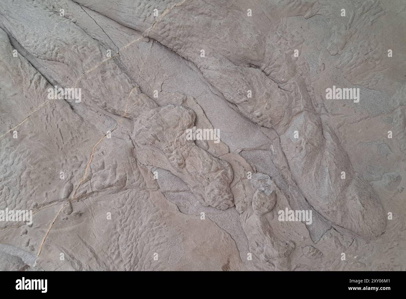 Smooth, grayish rock surface with subtle ridges and a few visible ...