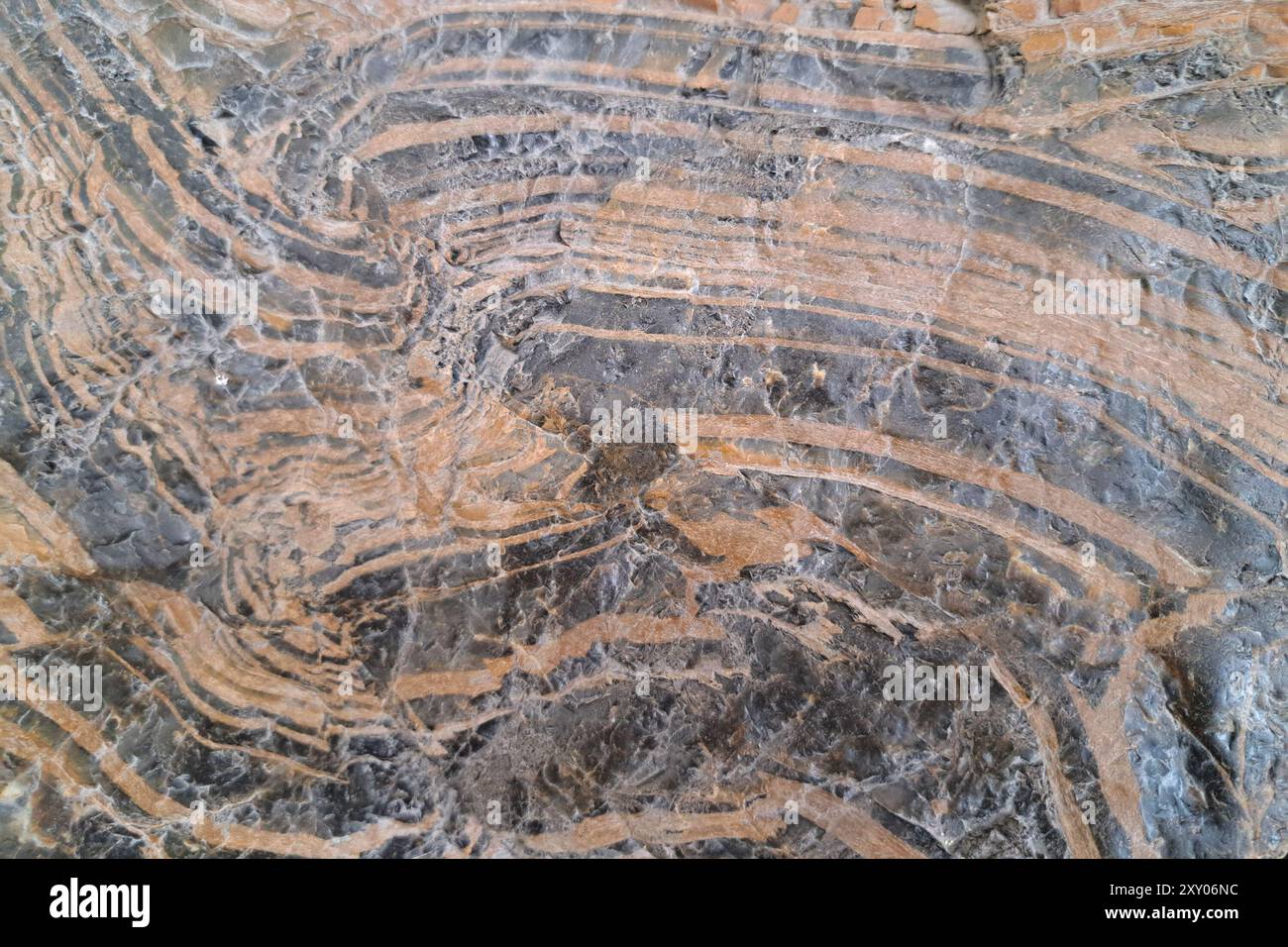 Gray banding hi-res stock photography and images - Alamy