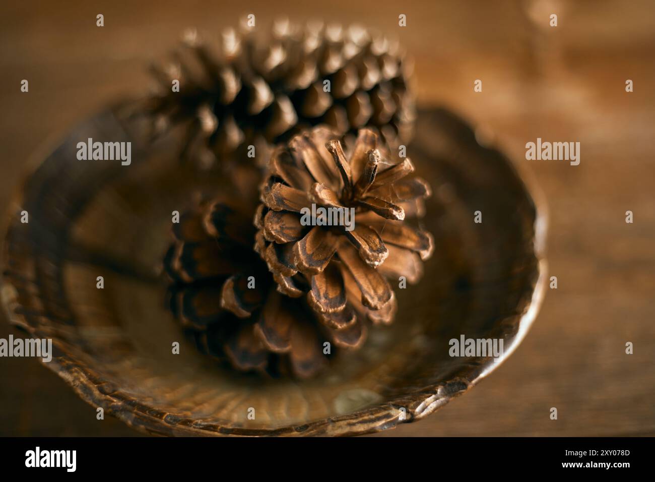 Close up pine cones on beige background, nature concept Stock Photo - Alamy