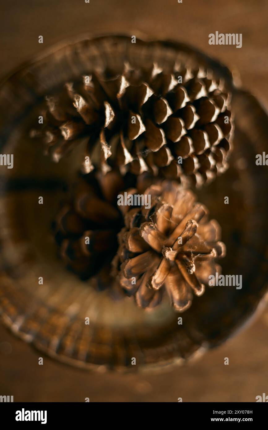 Close up pine cones on beige background, nature concept Stock Photo - Alamy