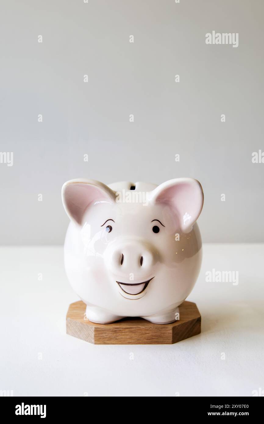 A front view of a white porcelain piggy bank on a white background. The ...