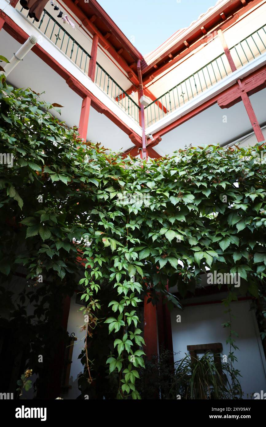 Typical Patio of traditional house called Corralas in Aranjuez town ...