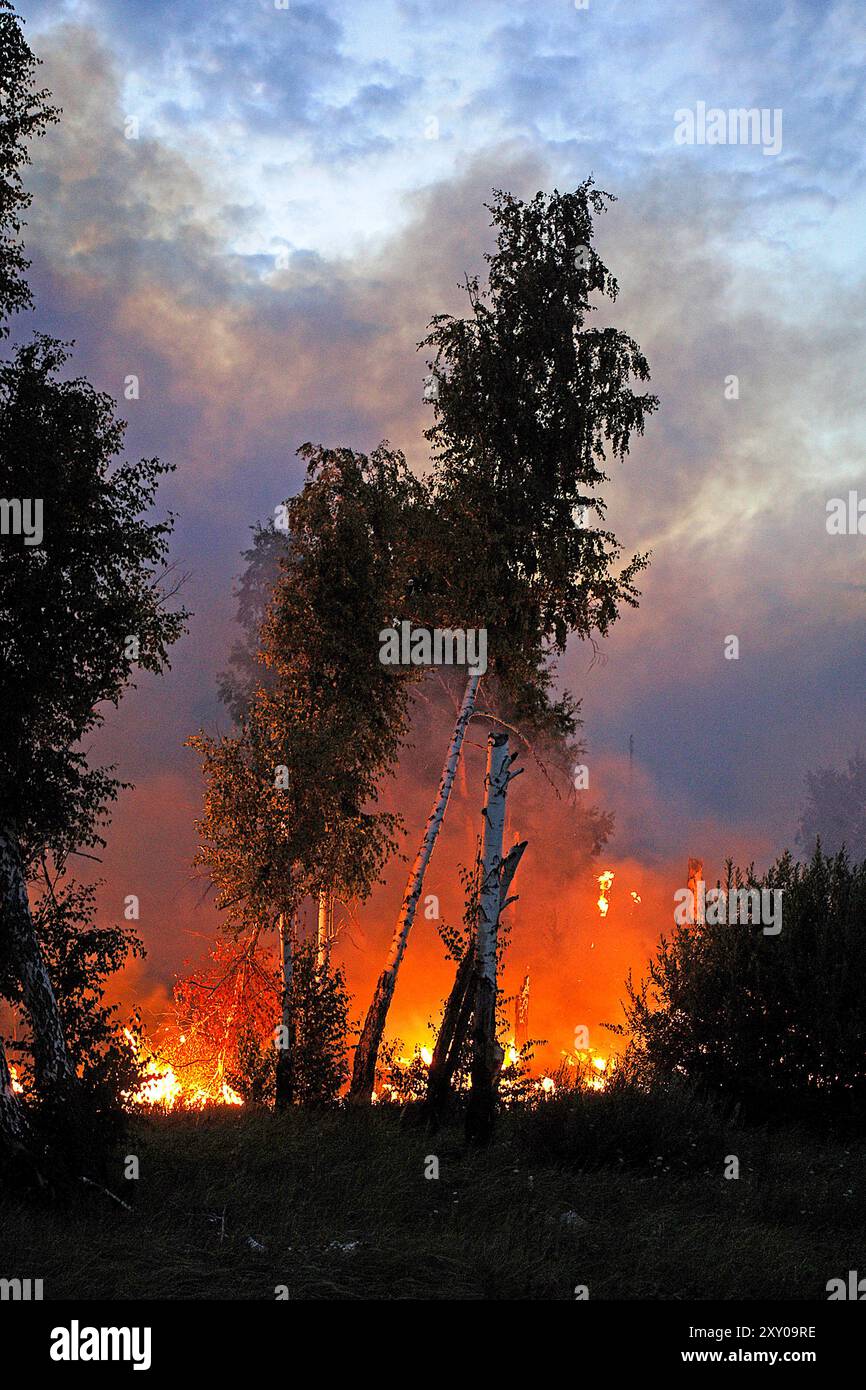 Waldbraende hi-res stock photography and images - Alamy