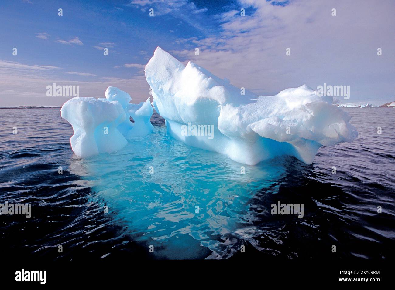 Ice growler hi-res stock photography and images - Alamy