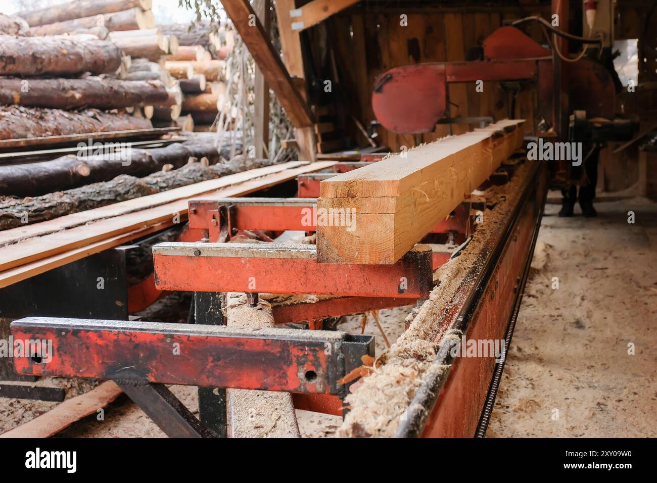 Wood processing at a sawmill. Preparation of logs for production ...