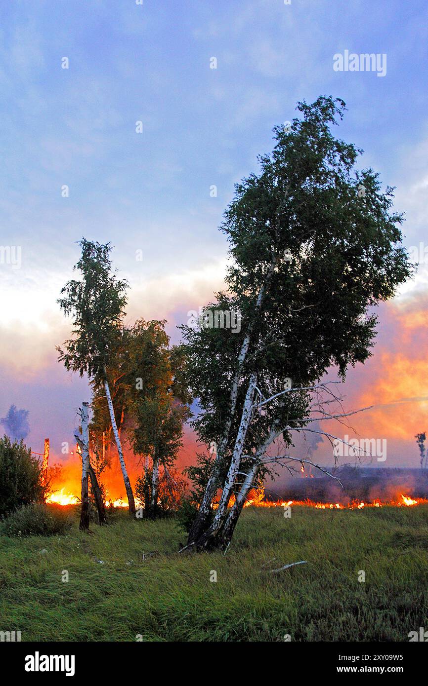 Wildfire france europe hi-res stock photography and images - Alamy