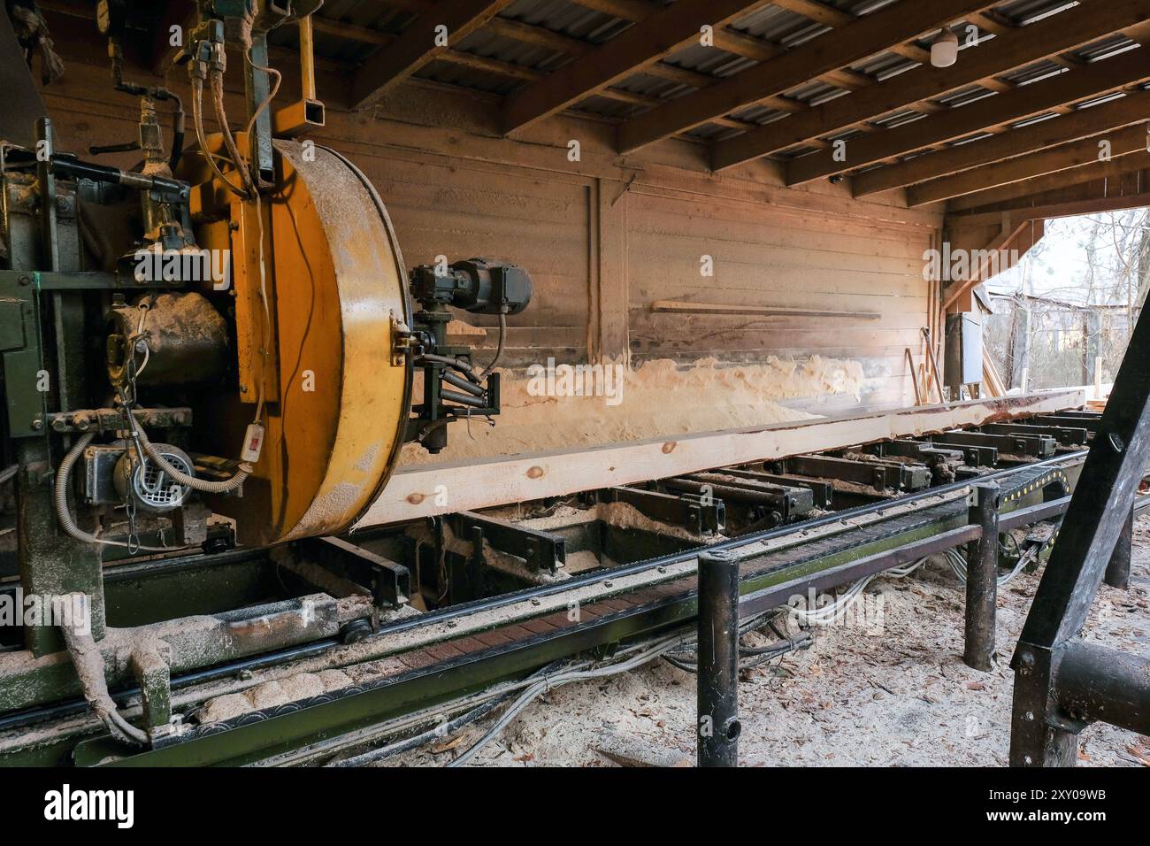 Industrial sawing of boards from logs using sawmill equipment ...