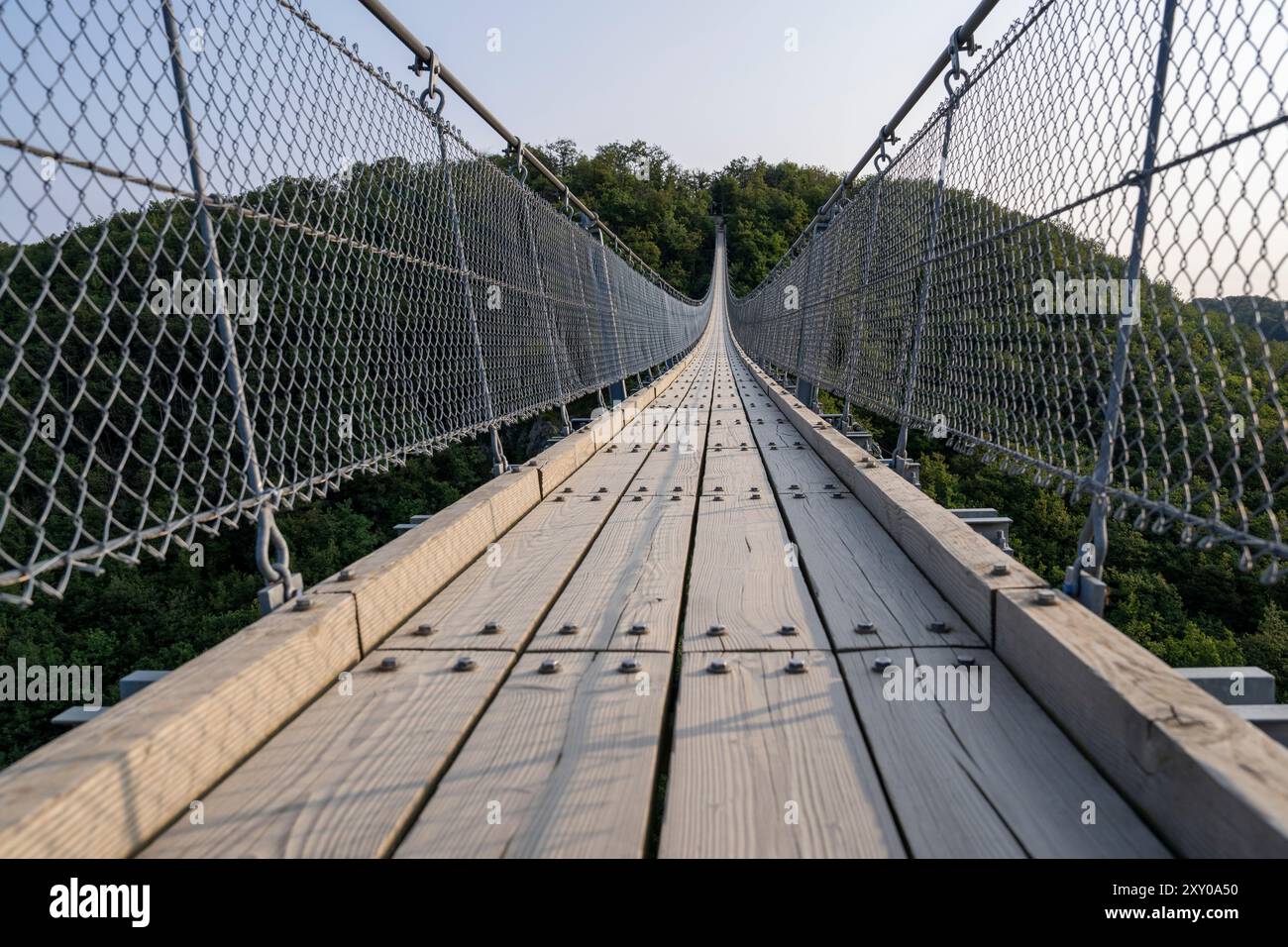 Standing on the Geierlay suspension bridge, gazing out over the expanse ...