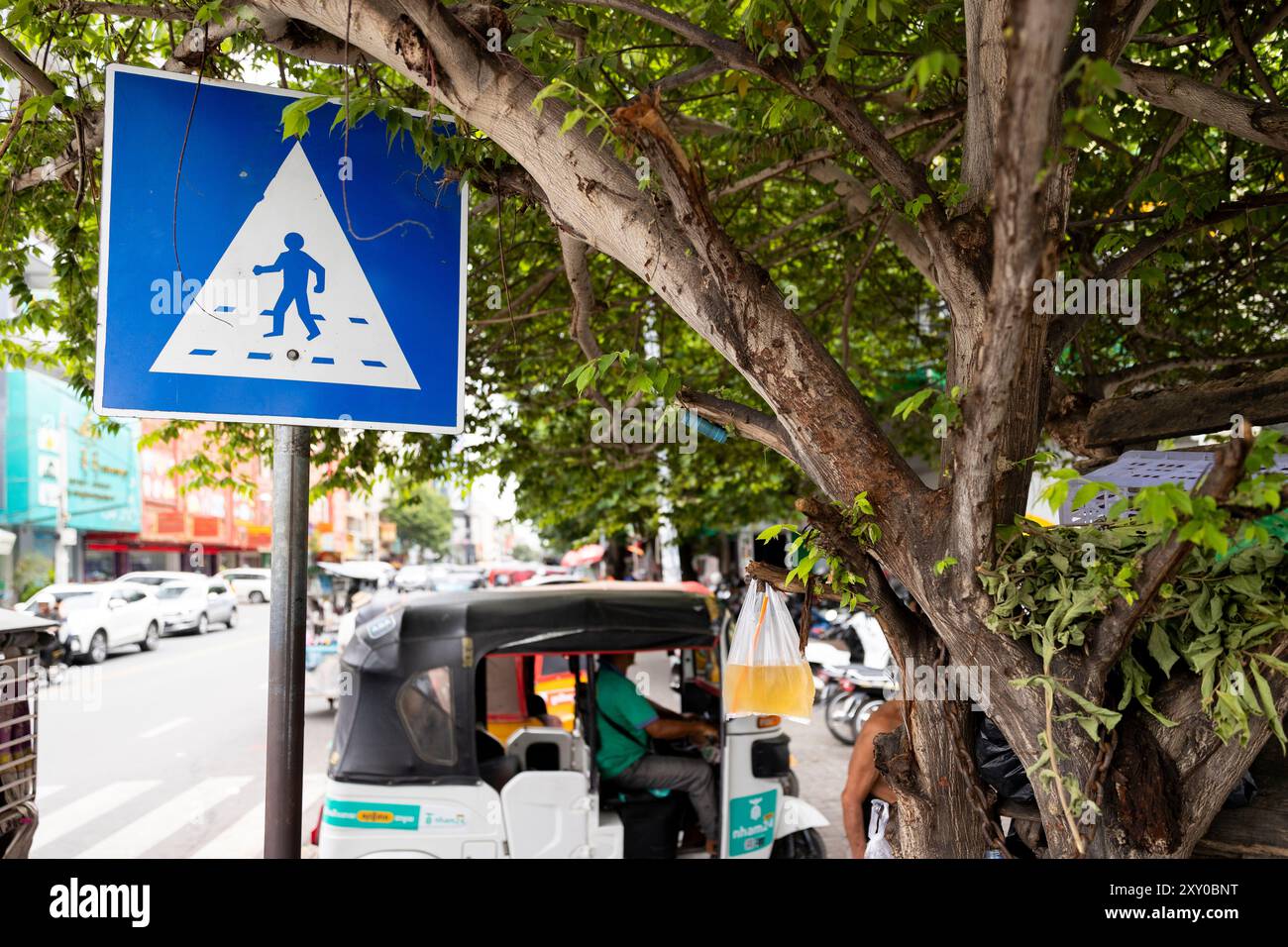 Pedestrian road crossing sign in downtown Phnom Penh (Central Market ...