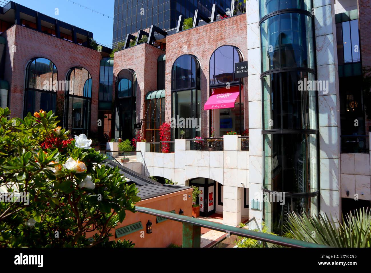 The rodeo collection hi-res stock photography and images - Alamy