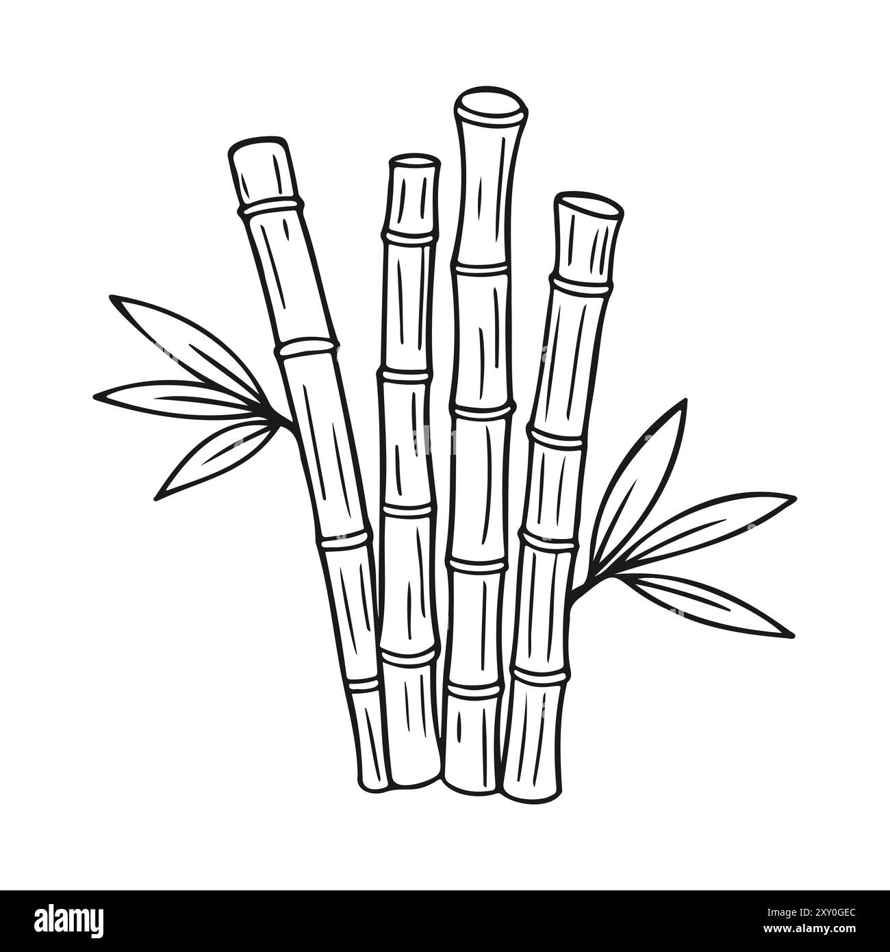 Bamboo sticks with leaves contour drawing on white background. Vector ...