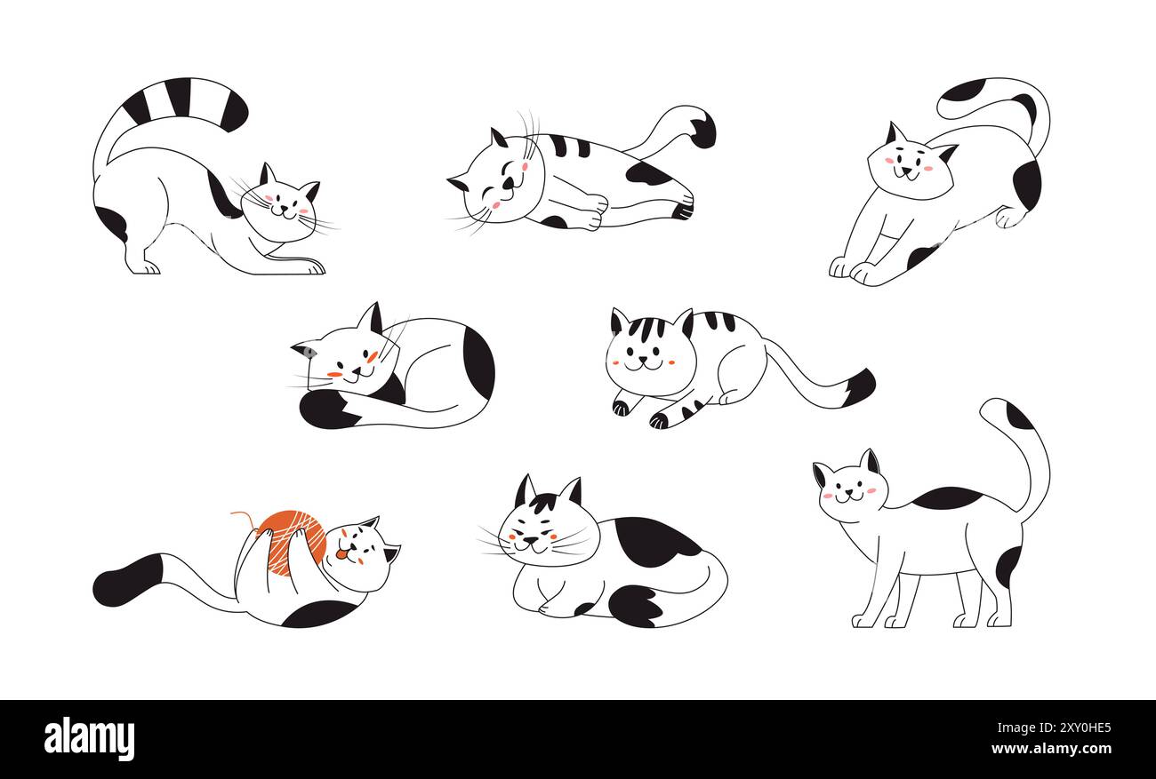 Cute smile cats playing, stretching, sitting, lying, relaxing. Funny ...