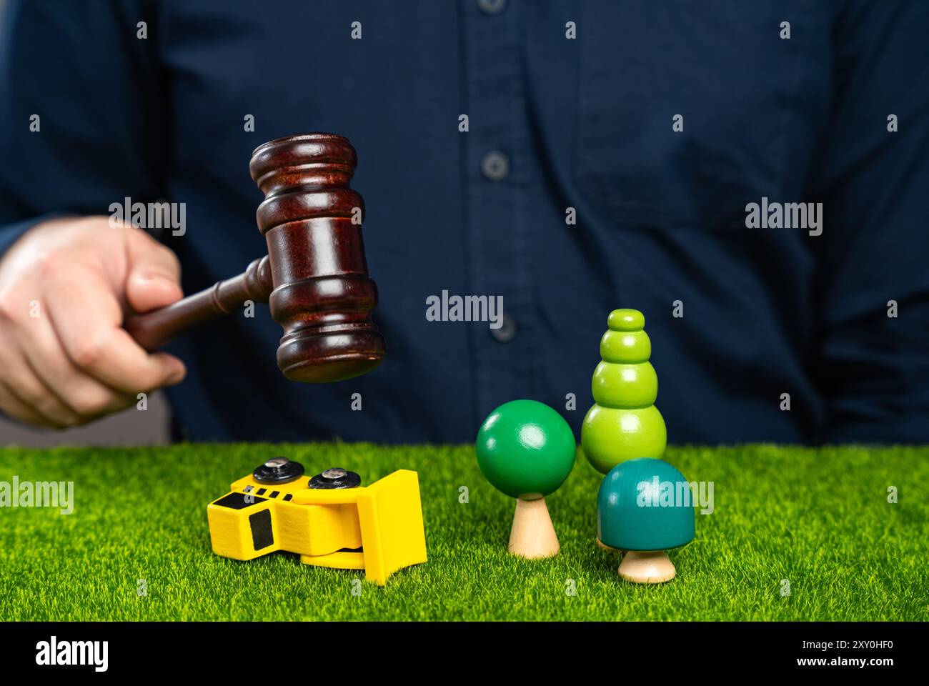 Court order bans logging. Stop the bulldozer. Save nature. Protection ...