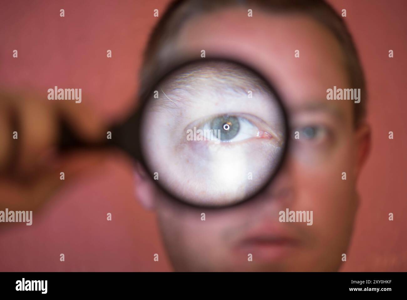 the human eye, the sense organ for the visual perception eye,organ for ...