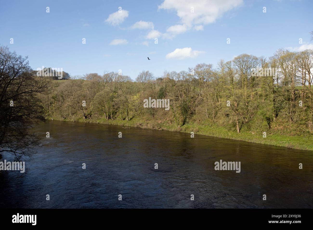 The River Lune at the Crook of Lune near Caton Lancaster England Stock ...
