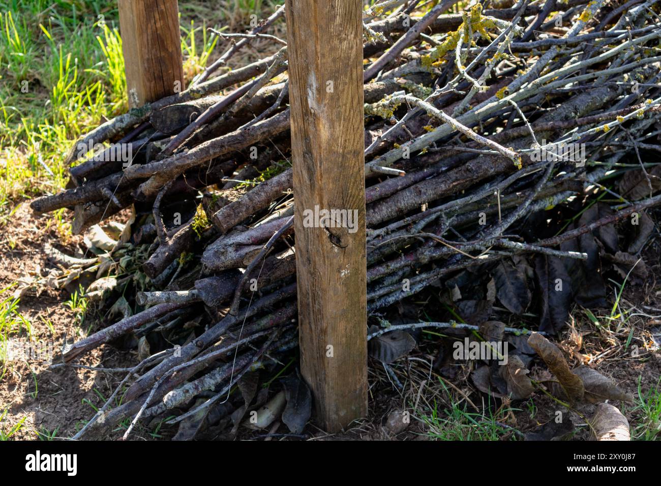 Dry hedge or Benjes hedge made of maintenance pruning branches, dead ...