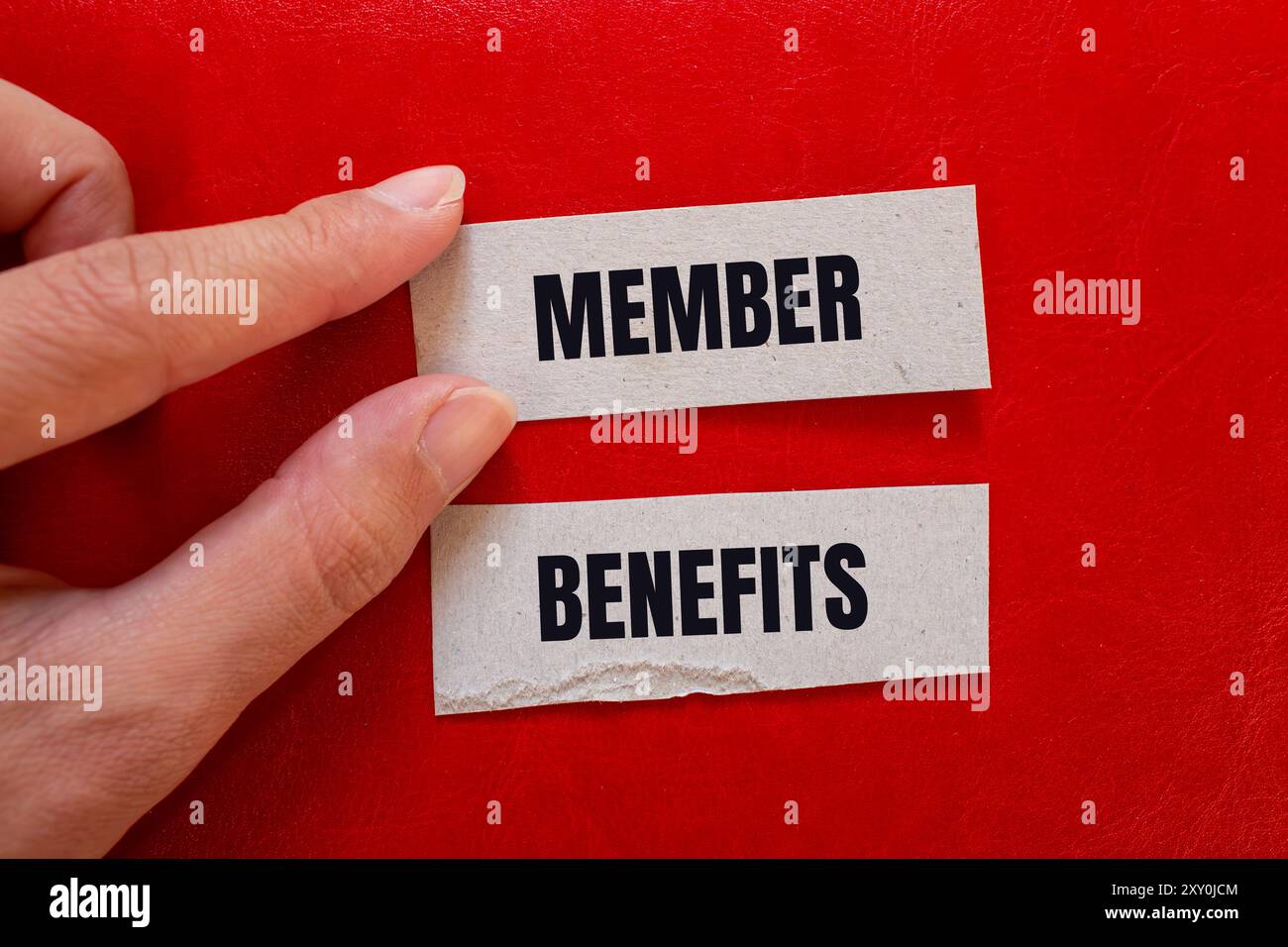 Member benefits message written on paper pieces with red background. Conceptual member benefits ...