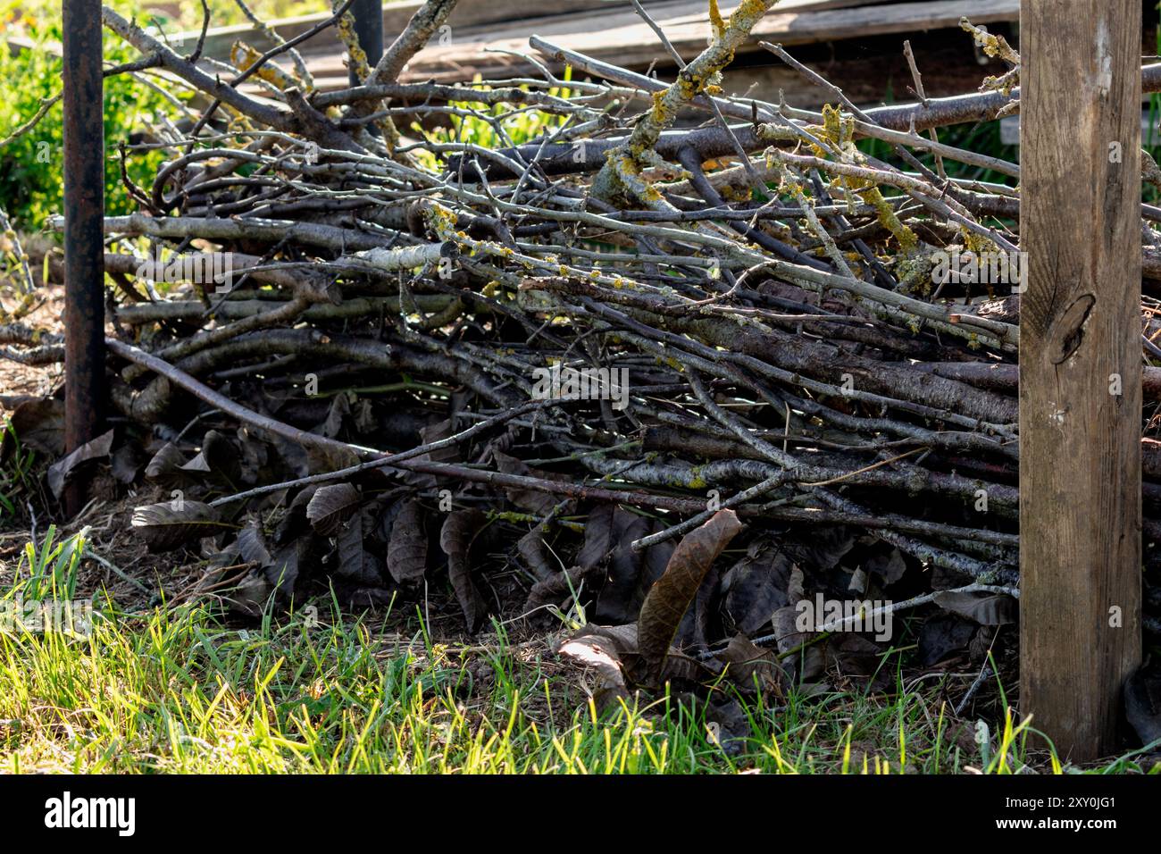 Dry hedge or Benjes hedge made of maintenance pruning branches, dead ...