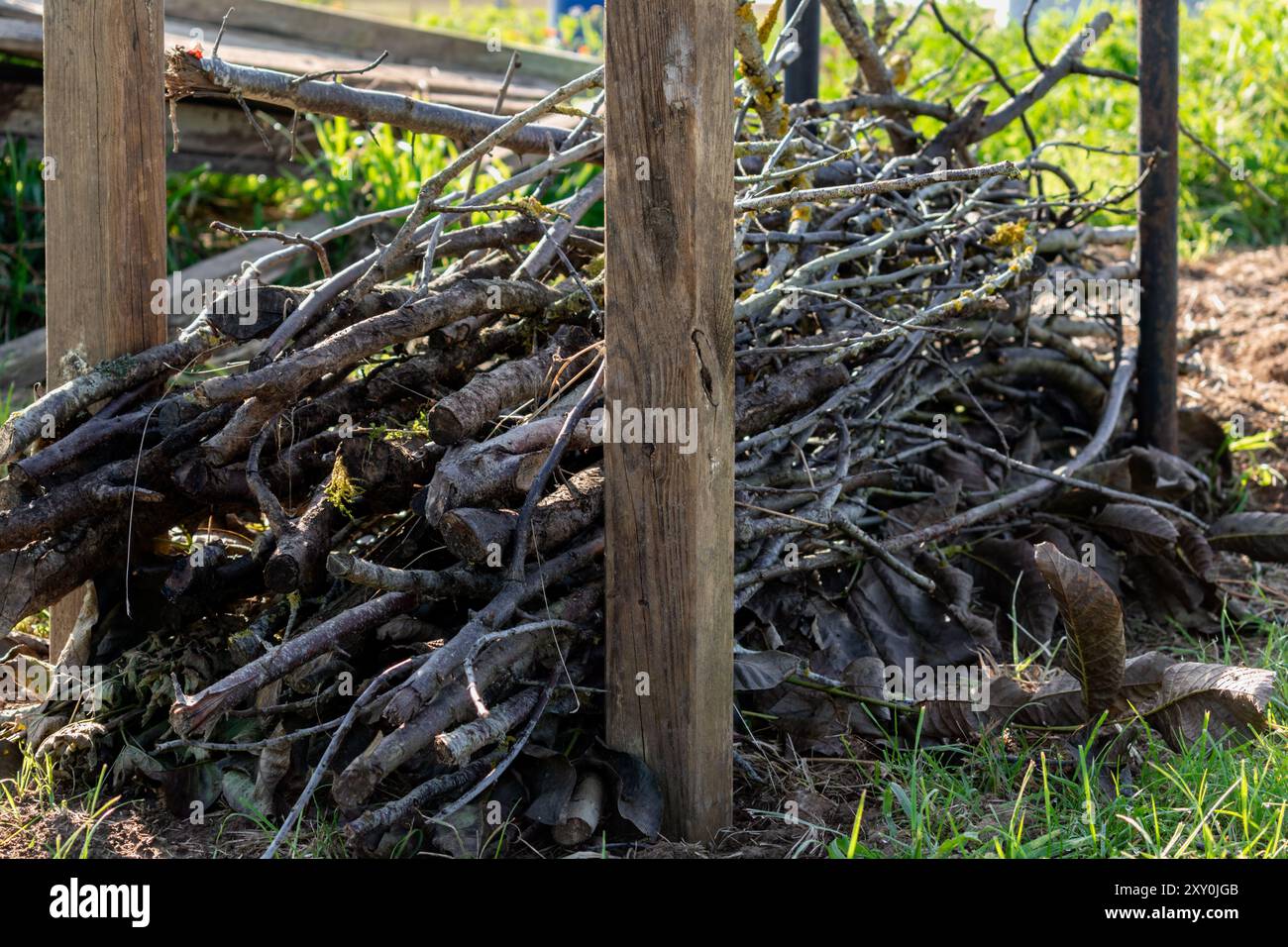 Dry hedge or Benjes hedge made of maintenance pruning branches, dead ...