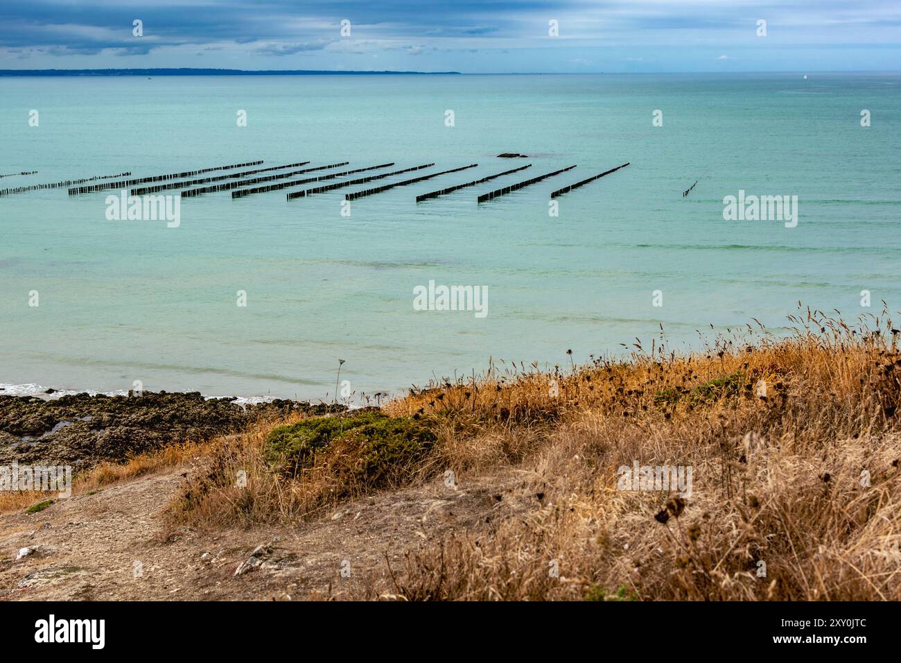 Mussel park in Brittany, Armor Coast in France Stock Photo - Alamy