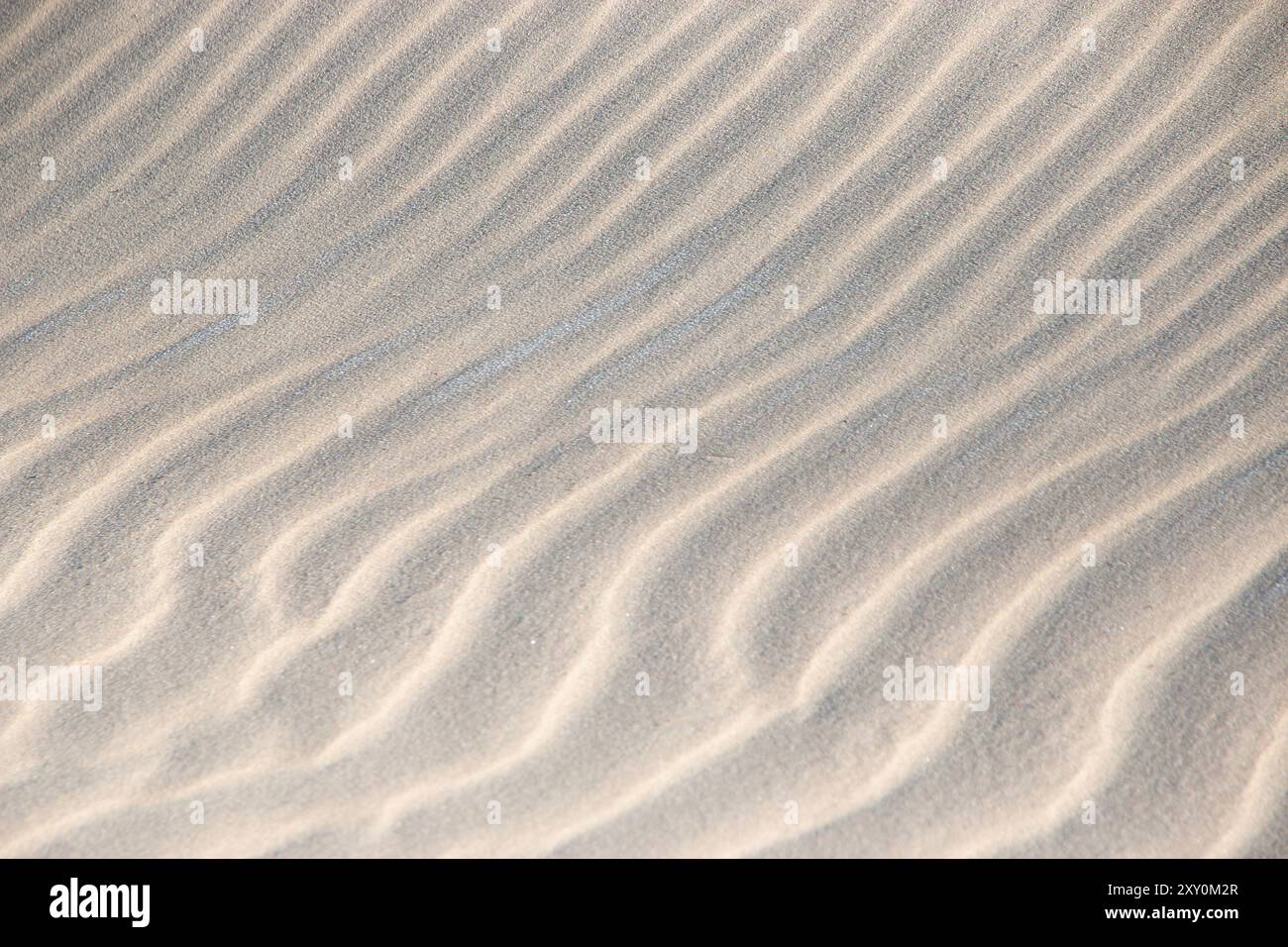 Drifting dune in Denmark Stock Photo - Alamy