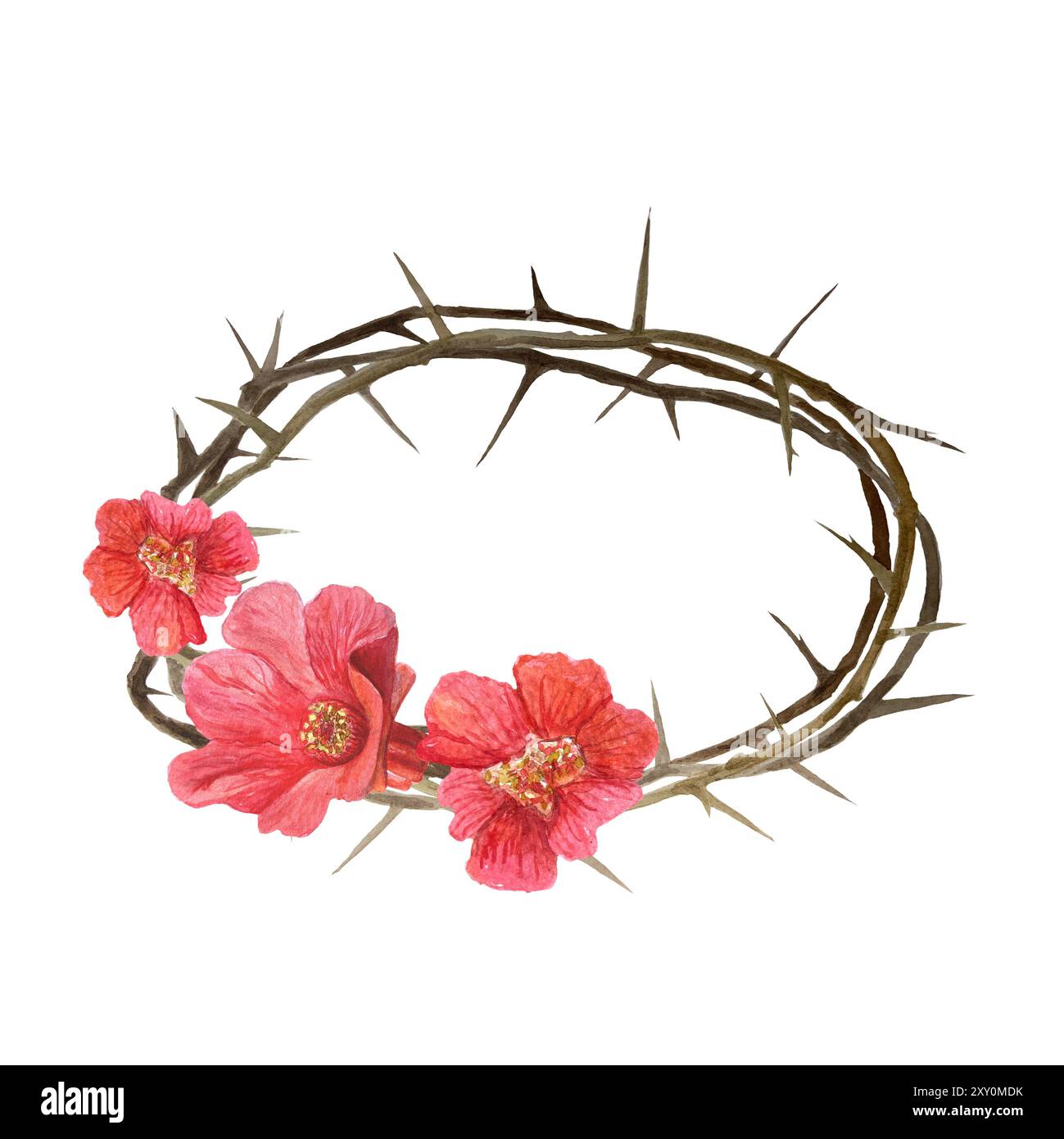 Crown of thorns with pomegranate flowers watercolor composition ...