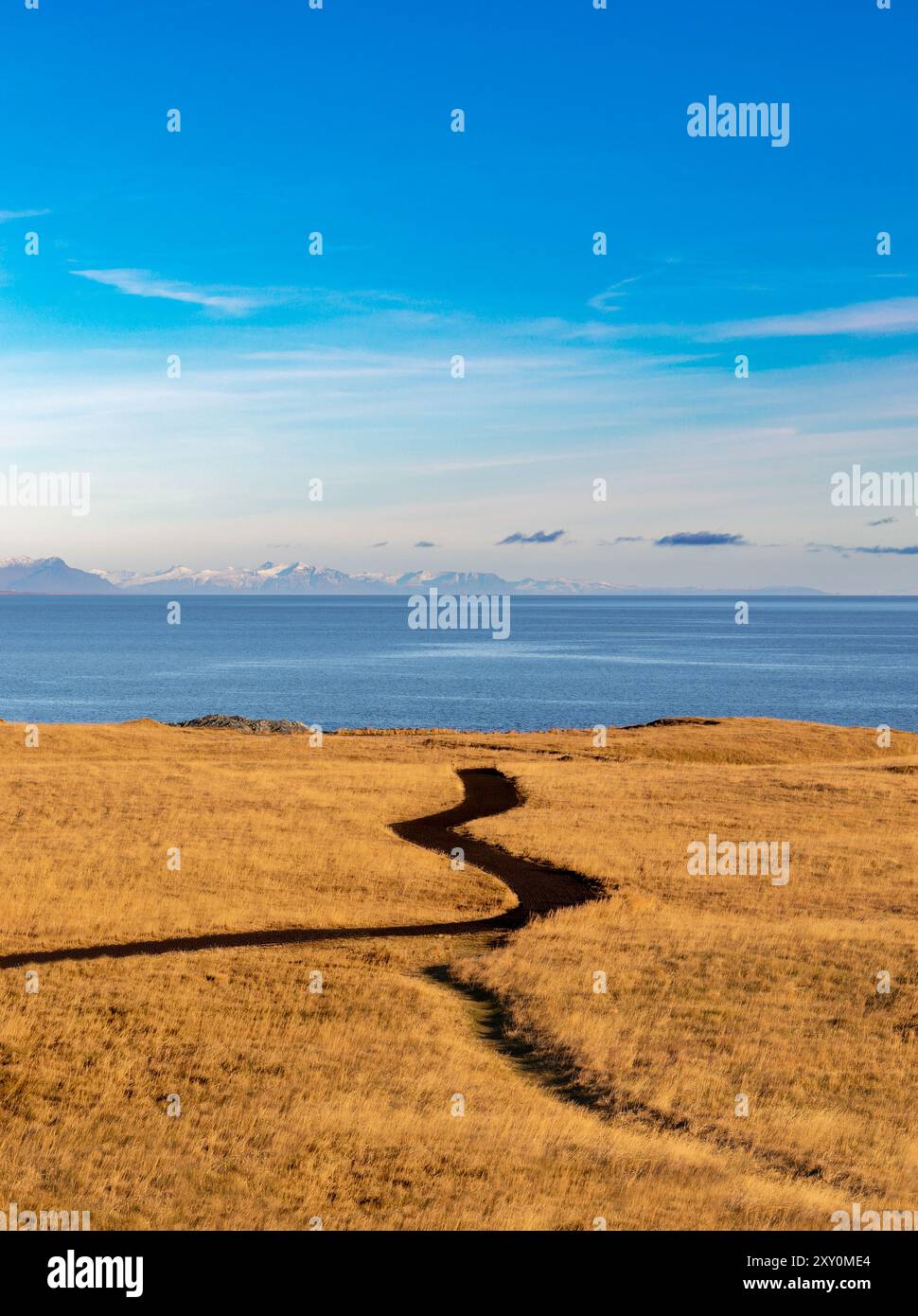 Long grass field with mountains hi-res stock photography and images - Alamy