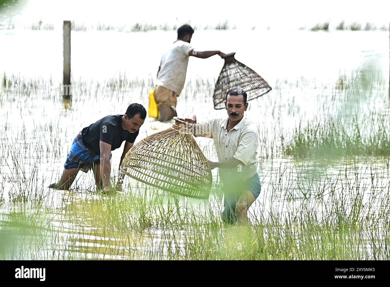 Indian boys fishing in river hi-res stock photography and images - Alamy