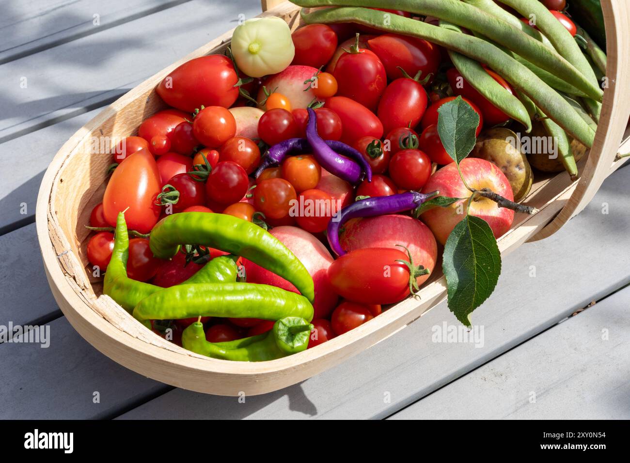 Selection of home grown fruit and vegetables freshly picked and placed ...