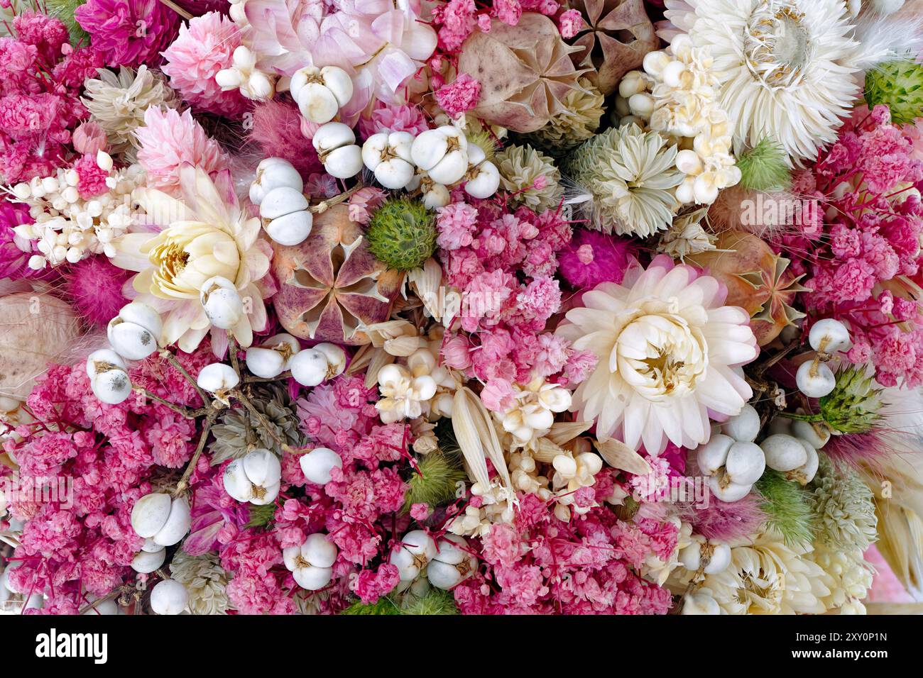Big bunch of bright red flowers hi-res stock photography and images - Alamy