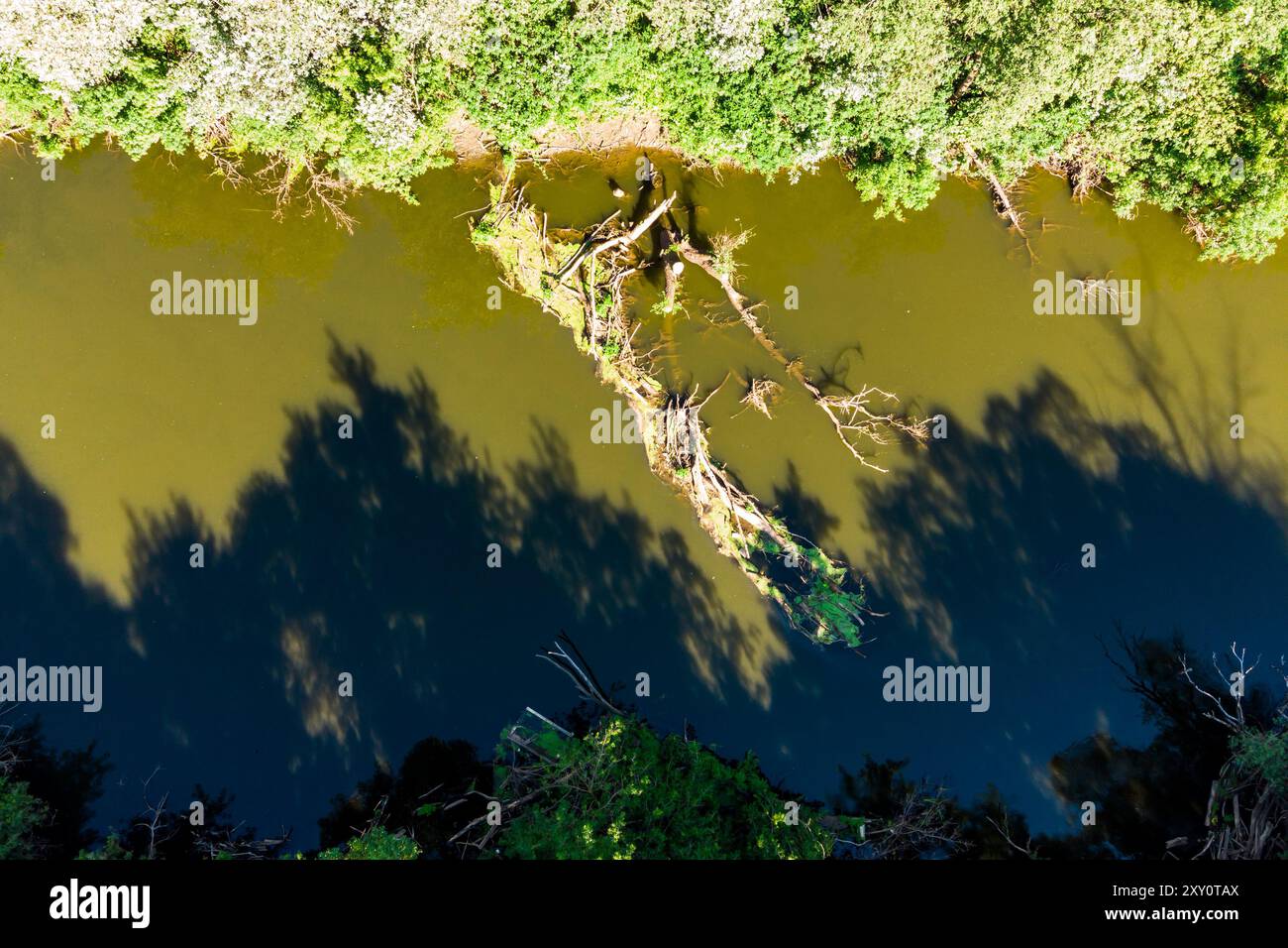Fallen tree blocking river hi-res stock photography and images - Alamy