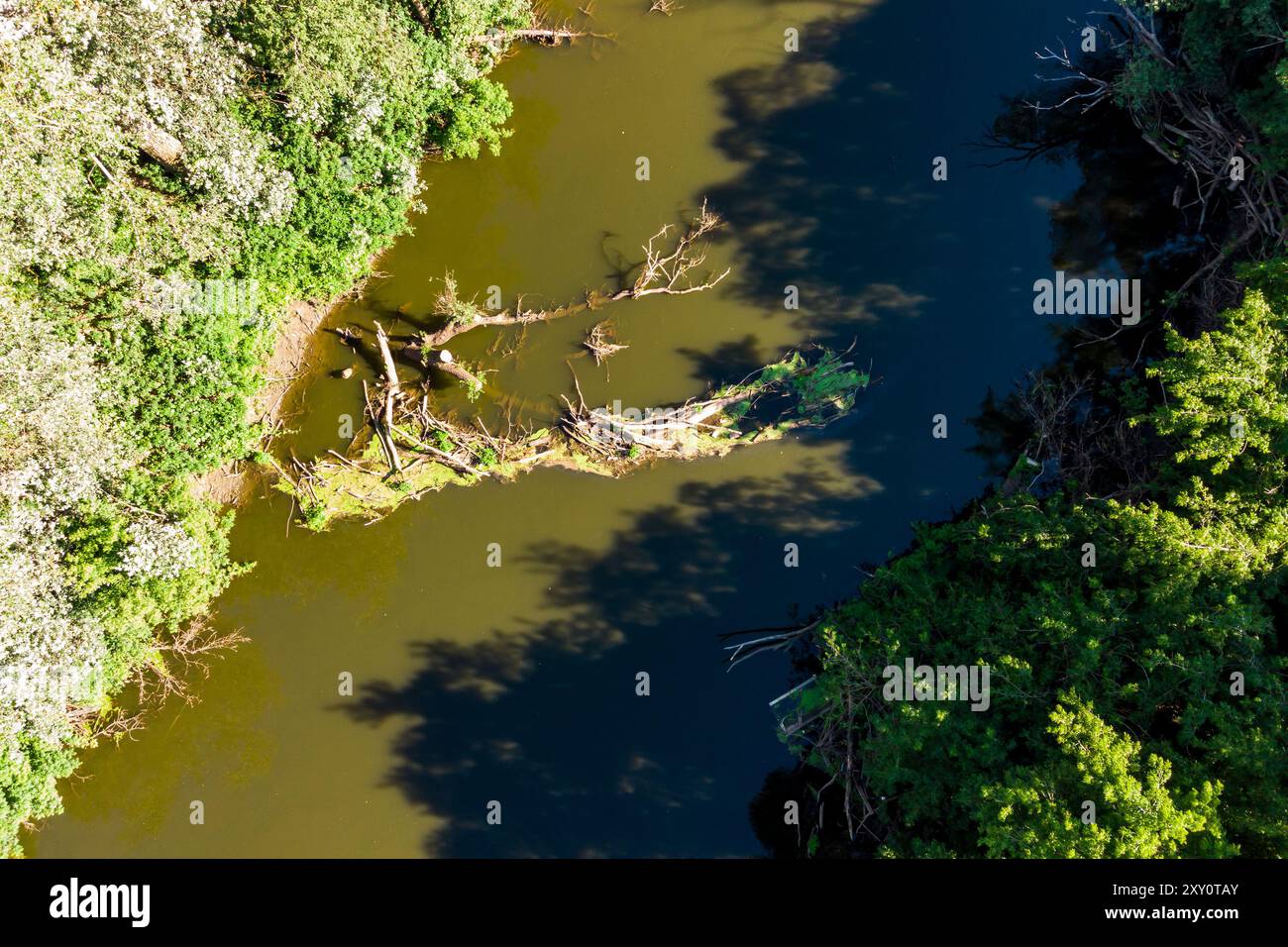 Fallen trees and branches blocking the bed of a small river, view from ...