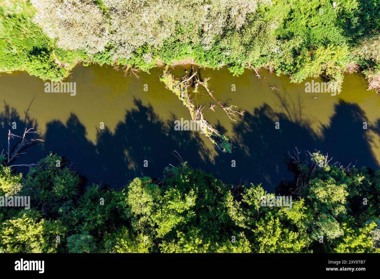 Fallen tree blocking river hi-res stock photography and images - Alamy