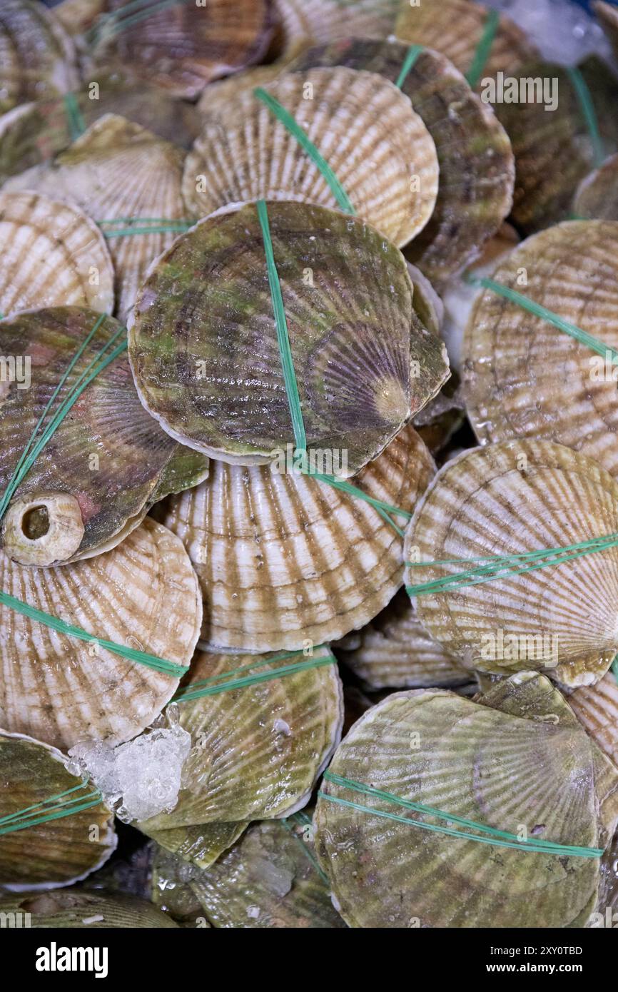 Fresh shellfish for sale at Central Market (Phsar Thmei), Phnom Penh ...