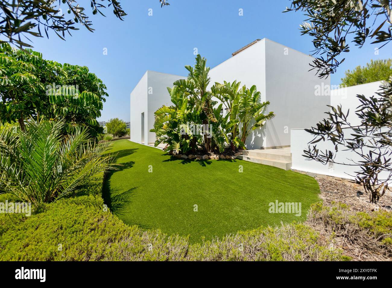 Showcases compound leaves hi-res stock photography and images - Alamy