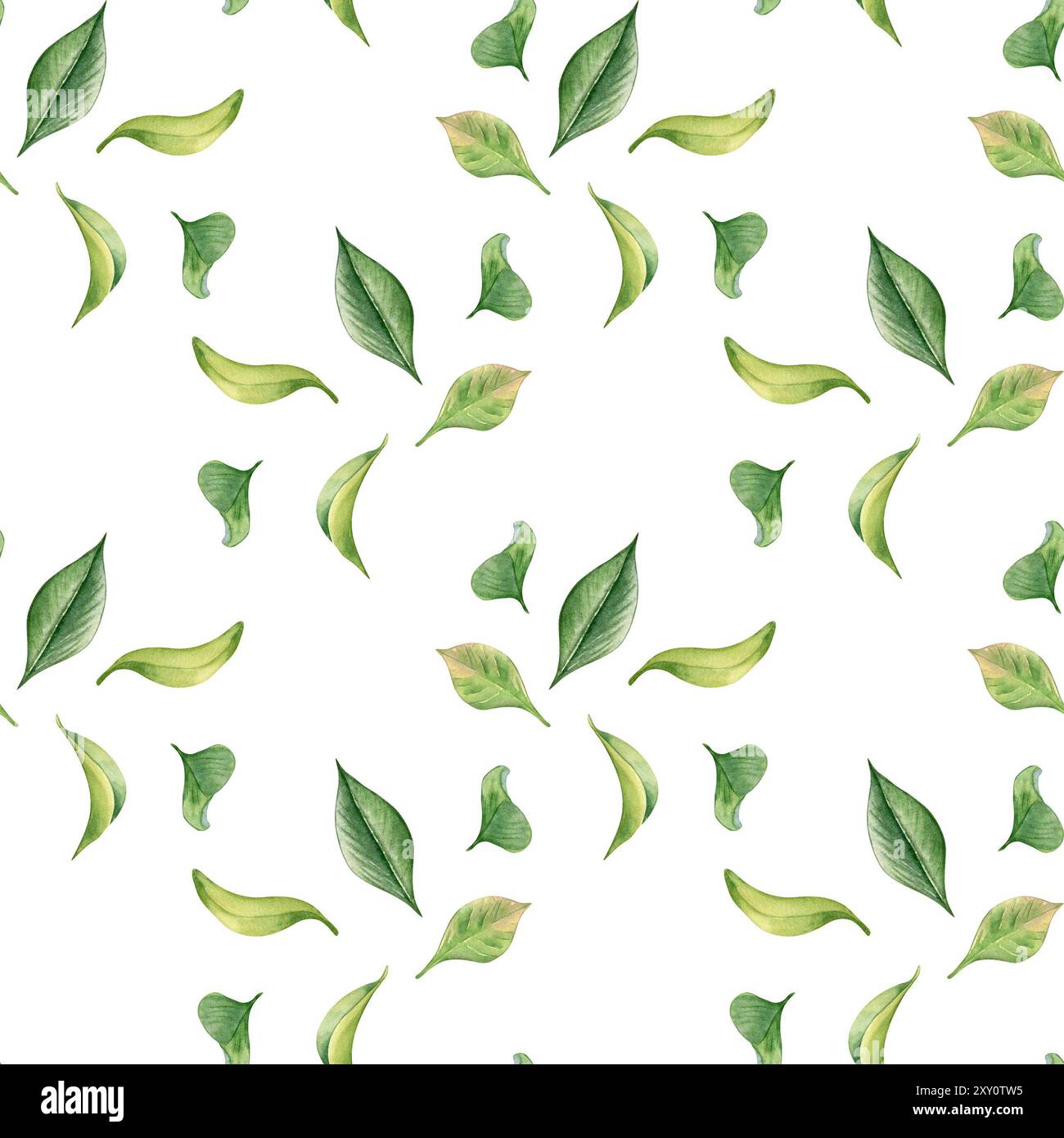 Green leaves watercolor seamless pattern isolated on white. Tea leaf ...