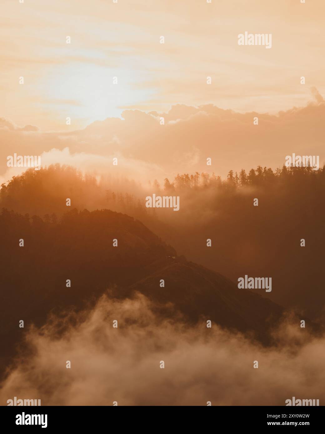 A breathtaking golden hour scene in the Himalayas with sunlight ...