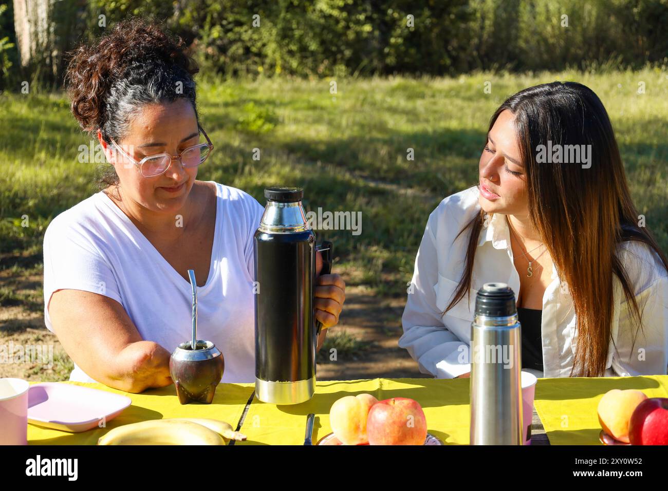 Disabled woman with an amputated arm enjoying a sunny outdoor picnic ...