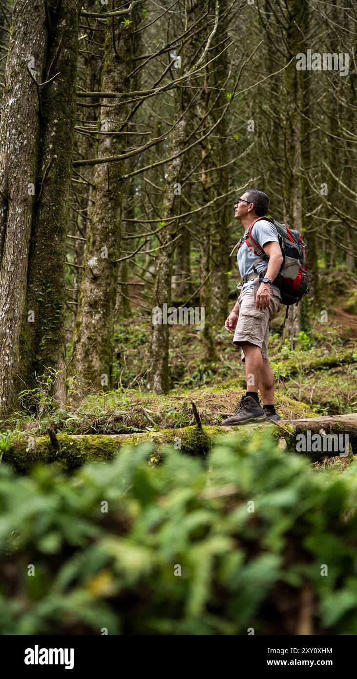 Side view of male hiker exploring the dense woodland of Pico Blanco ...